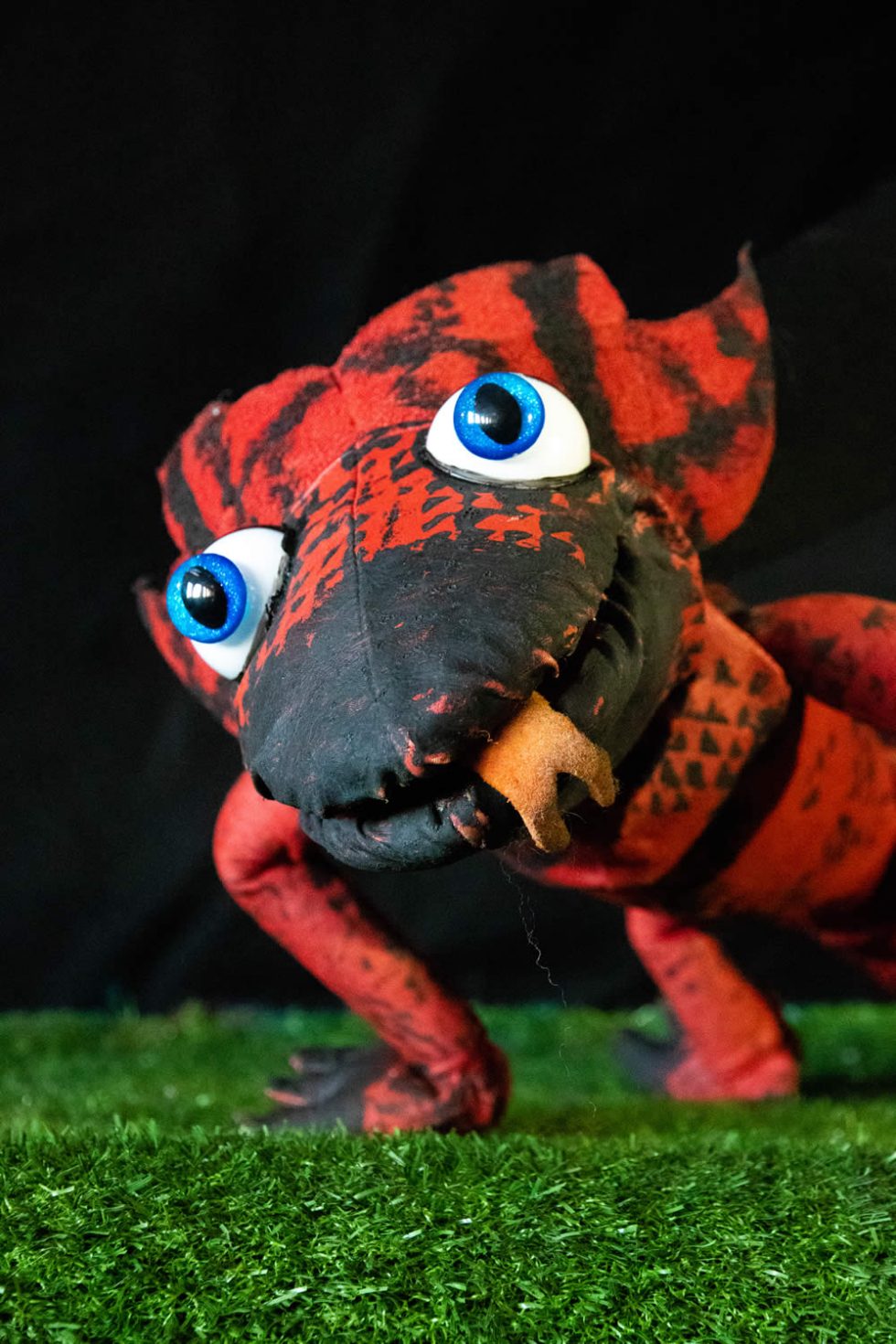 Curious Beasts | North East Wellbeing